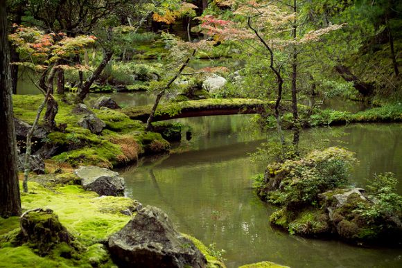 Local tells Top 7 Moss Temples and Moss Gardens in Kyoto! | 一期一会〜Ichigo ...